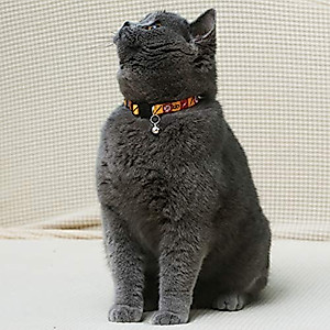 Coomour 2PCS Halloween Cat Collar Safely Breakaway Magic Stripe Pattern Adjustable Kitty Collars with Cute Bell for Cats Kitten (Red)