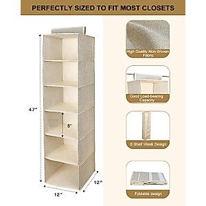 NEATJELAI Hanging Closet Organizer 6 Tier Hanging Shelf for Wardrobe Clothes Organization and Storage,Large Shoe Organizer Foldable Design, Beige