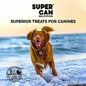 SUPERCAN BULLYSTICKS 12" Braided (30pc) Beef Bully Sticks for Small Medium Large Dogs - 100% Natural Dog Chews - Long Lasting Treats for Aggressive Chewers - Healthy Teeth - Free Range