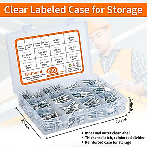 600pcs Pop Rivets Assortment Kit, 14 Sizes Aluminum Rivets 3/32" 1/8" 5/32" 3/16", Assorted Black Rivets with Reinfored Divider and Labeled Case (Silver)