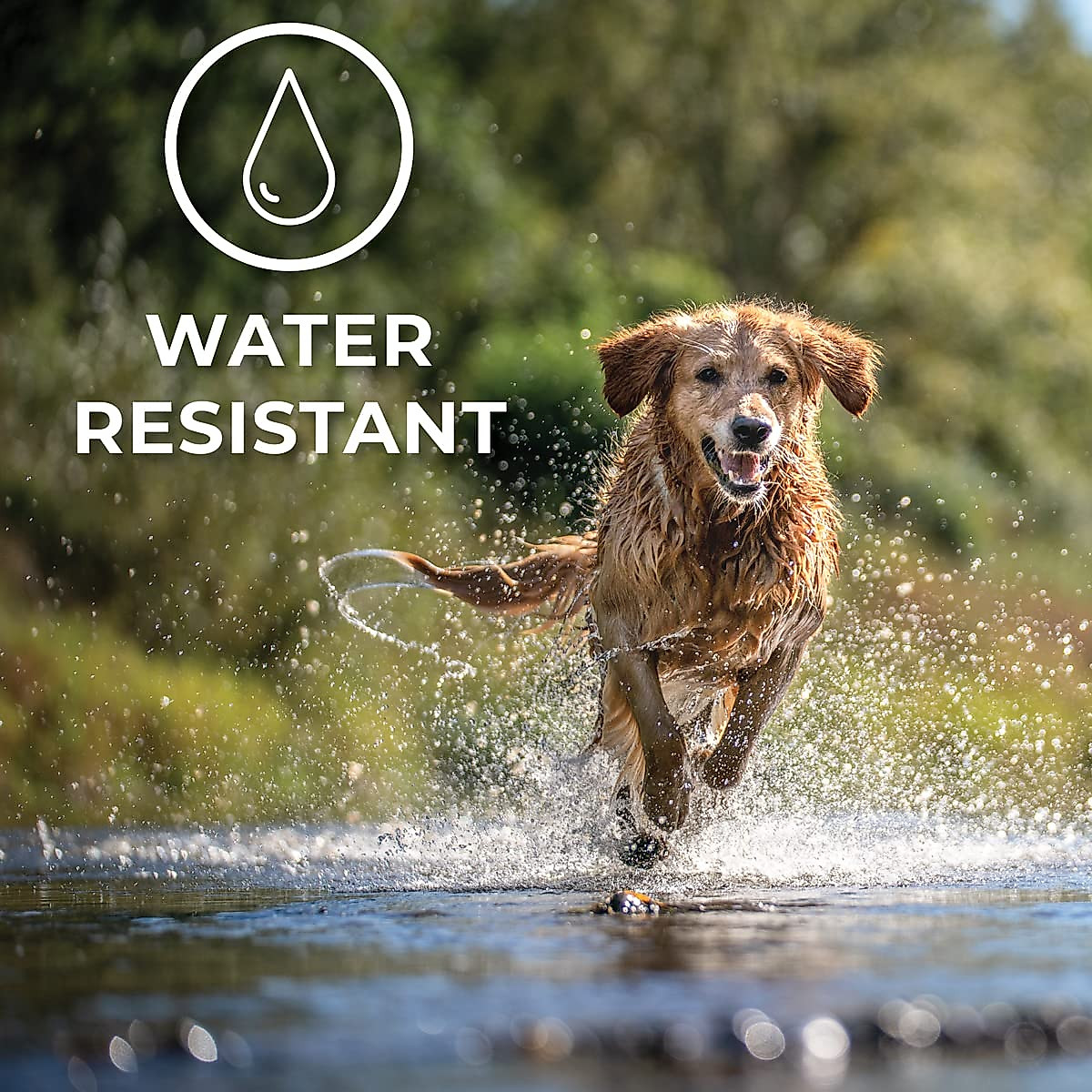 ACTIVPHY Hip + Joint Mobility Collar for Dogs with Glucosamine, Chondroitin, MSM, and More | Convenient & Easy | 30 Days of Continuous Support | Water Resistant (Med/Large)