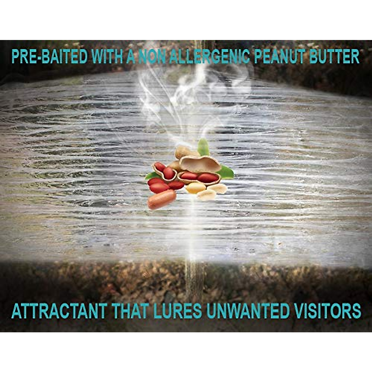 Kat Sense Sticky Rat Traps 'N Mouse Glue Traps That Work for Trapping Snakes Spiders Roaches N Other Rodents, 2 XL Large Heavy Duty Clear Pre Baited Mats, Indoor Outdoor Non Multi Catch Pest Trap