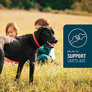 Hip and Joint Supplement for Dogs - Glucosamine for Dog Joint Supplement - with Chondroitin, MSM, Vitamins C and E for Dog Joint Relief - Mobility Bites Bacon – 120 Count