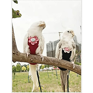 Yu~'s north Bird Diaper Harness Flight Suit Clothes with Flying Leash for Parrots Cockatiel Pet Birds, Parrot Clothes, Bird Training Nappy Suit Liners Clothes (M, Red), Medium