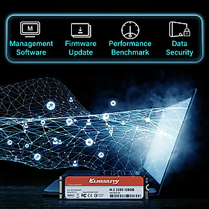 Kuesuny 256GB M.2 2280 PCIe Gen 3X4 NGFF Internal SSD, Solid State Drive, Up to 2000MB/s for Latop and PC(256GB, M.2 2280)