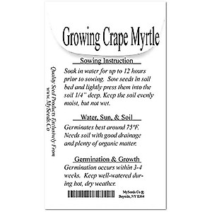 Big Pack - (1,000) Crape Myrtle Mix, Lagerstroemia Indica Tree Seeds - by MySeeds.Co (Big Pack - Crape Myrtle)