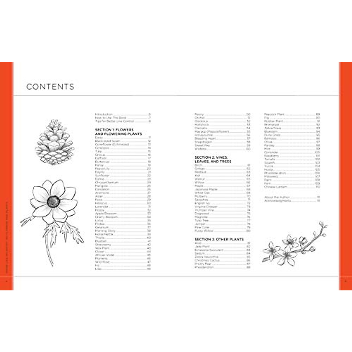 Draw Like an Artist: 100 Flowers and Plants: Step-by-Step Realistic Line Drawing * A Sourcebook for Aspiring Artists and Designers (Volume 2) (Draw Like an Artist, 2)