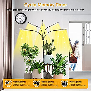 wolezek Grow Light with Stand, [5-Heads] LED Grow Lights for Indoor Plants Full Spectrum, Plant Grow Lamp 3000K 6500K 660nm, 4/8/12H Auto Timer, 12V 3A DC Adapter, Tripod 15-61in