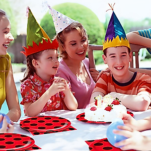 Menipros Ladybug Birthday Party Supplies,Ladybug Party Tableware Sets Includes 20 Ladybug Plates and 20 Ladybug Napkins