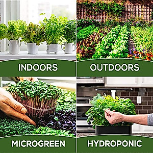 20 Heirloom Vegetable Seeds for Planting - 100% Non GMO - Most Popular Garden Vegetable Seeds Variety Pack - Cucumber, Carrot, Broccoli, Radish, Kale, Zucchini, Cabbage, Beet, Arugula, Celery and More