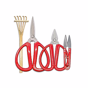 R&R SHOP Bonsai Precision Scissors Kit - Trimming, Bonsai Pruning, Precision Cuts and Small Branches and Roots, Bamboo Rakè - Set of 4