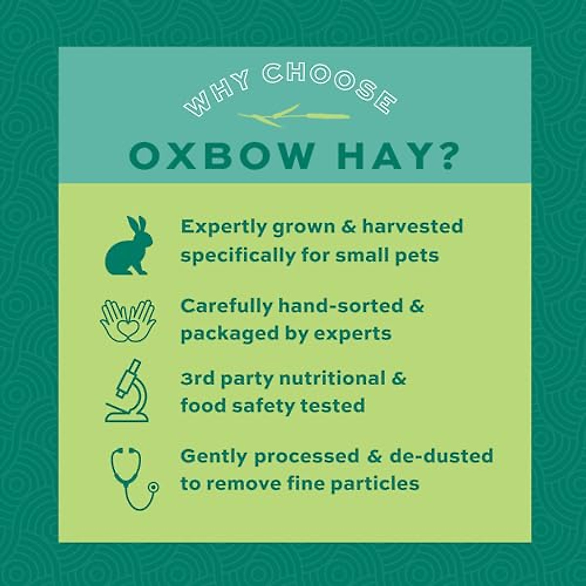 Oxbow Animal Health Orchard Grass Hay - All Natural Grass Hay for Chinchillas, Rabbits, Guinea Pigs, Hamsters, Gerbils & Other Small Pets - Fiber Rich- Grown in the USA- 9 lb.