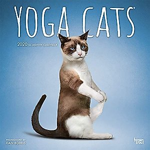Yoga Cats 2020 Calendar