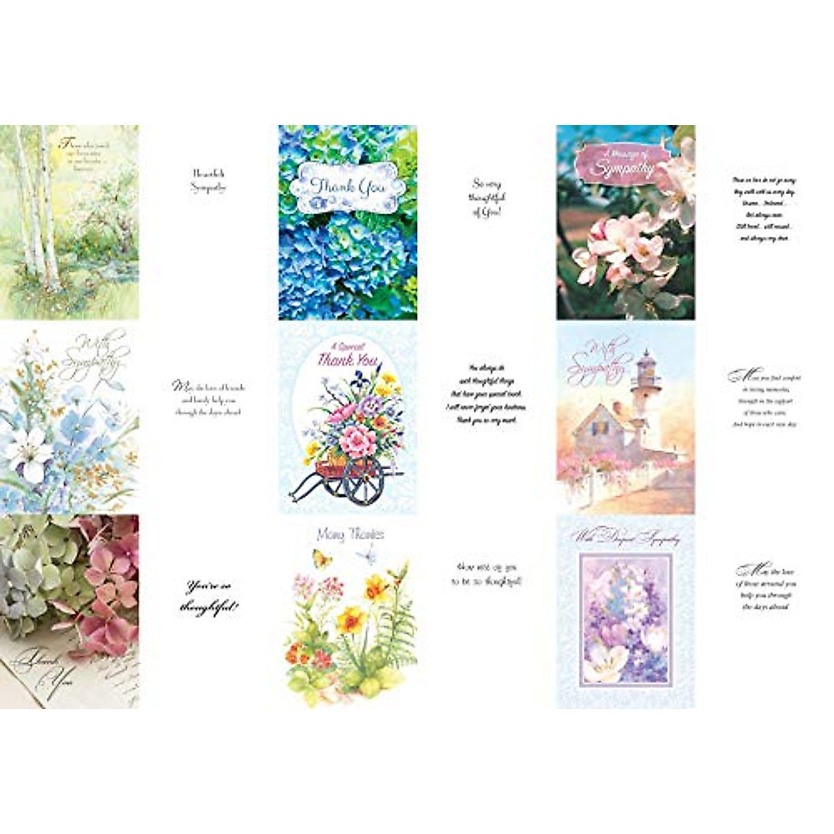 Variety Boxed Greeting Card Assortment by Fravessi | 36 Card Pack + 36 White Envelopes (4x6) | Humorous