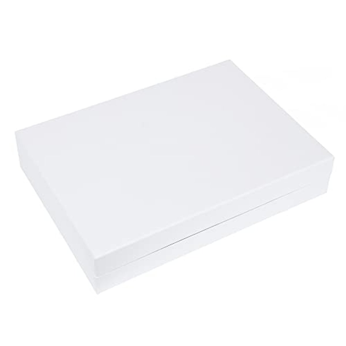 Bigso Karin Collapsible Storage Box | Photo Storage Box with Labelframe for Identification | Simple Assembly without Tools | Decorative Storage Boxes with Lids | 8.9″ x 12.4″ x 5.4″ | 2 Pack | White