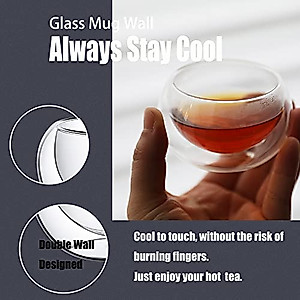 PunPun Tea Cups Double Wall Borosilicate Glass Espresso Cups Heatproof Insulating Teacups glass Set of 4 Demitasse Gift Box (2.7 oz. / 80ml) …