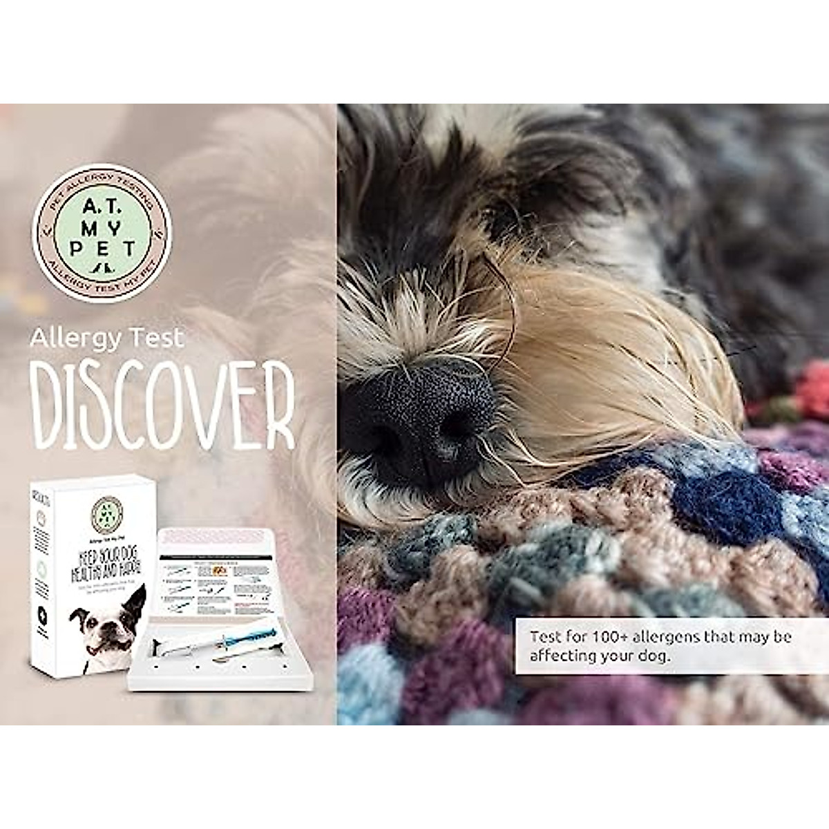 Allergy Test My Pet Dog Sensitivity and Intolerance Testing Kits Home Sample Collection Kit for Dogs Allergy