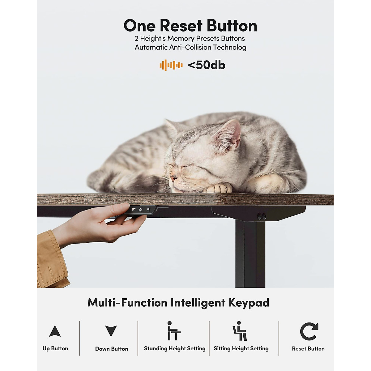 Cubiker 44 x 24 Inch Standing Desk, Stand up Height Adjustable Home Office Electric Table, Sit Stand Desk with Splice Board, Black Frame & Rustic Brown Desktop