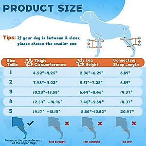 Pawfun Dog Knee Brace for Torn ACL Hind Leg, Dog Leg Brace for Large and Small Dogs with Hip Dysplasia, CCL, Ligament Injuries or Osteoarthritis, Both Back and Front Legs (Large)