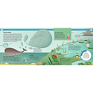 Are We Running Out of Water?: Mind Mappers―Making Difficult Subjects Easy To Understand (Environmental Books for Kids, Climate Change Books for Kids)