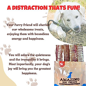 Amazing Dog Treats - 6 Inch Beef Trachea Dog Chews (10 pcs - 16.5 oz) - Trachea Dog Treats - NO Hide - Digestible and Safe Chews for Dogs - Glucosamine and Chondroitin for Joint Health