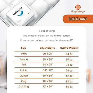 HOSPITOLOGY PRODUCTS Hypoallergenic Mattress Cover- Overstuffed - Deep Pocket - Goose Down Alternative Pillow Top Mattress Topper Twin - 39" W x 75" L