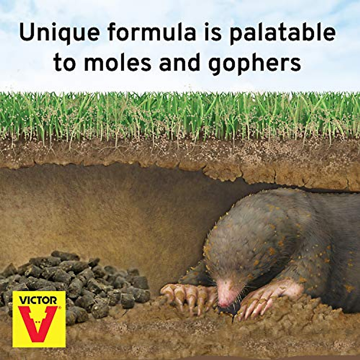 Victor M6006 Outdoor Mole & Gopher Poison Peanuts - Mole and Gopher Bait Killer