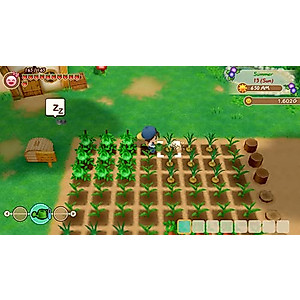 Story of Seasons: Friends of Mineral Town - Xbox One