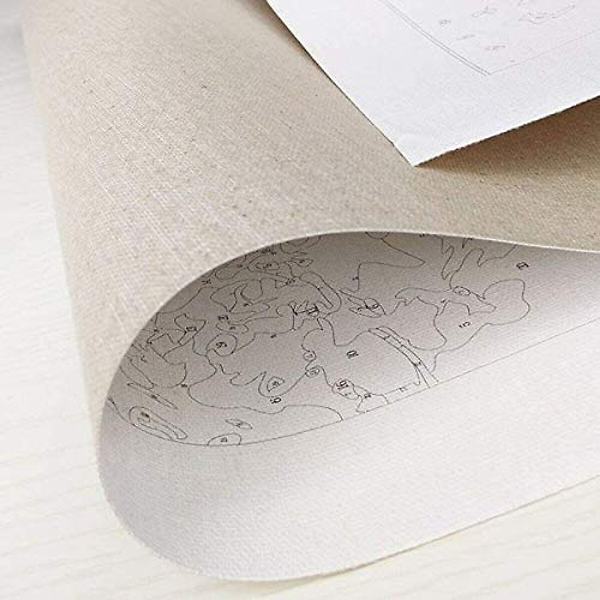 Paint by Numbers Kit for Adults Beginner Kids, Peaceful Mountain Lake Pattern Pre Pattern Acrylic on Canvas Painting DIY Paintwork Drawing Art - Home Wall Decor Birthday Choice -16x20 inches[No Frame]111