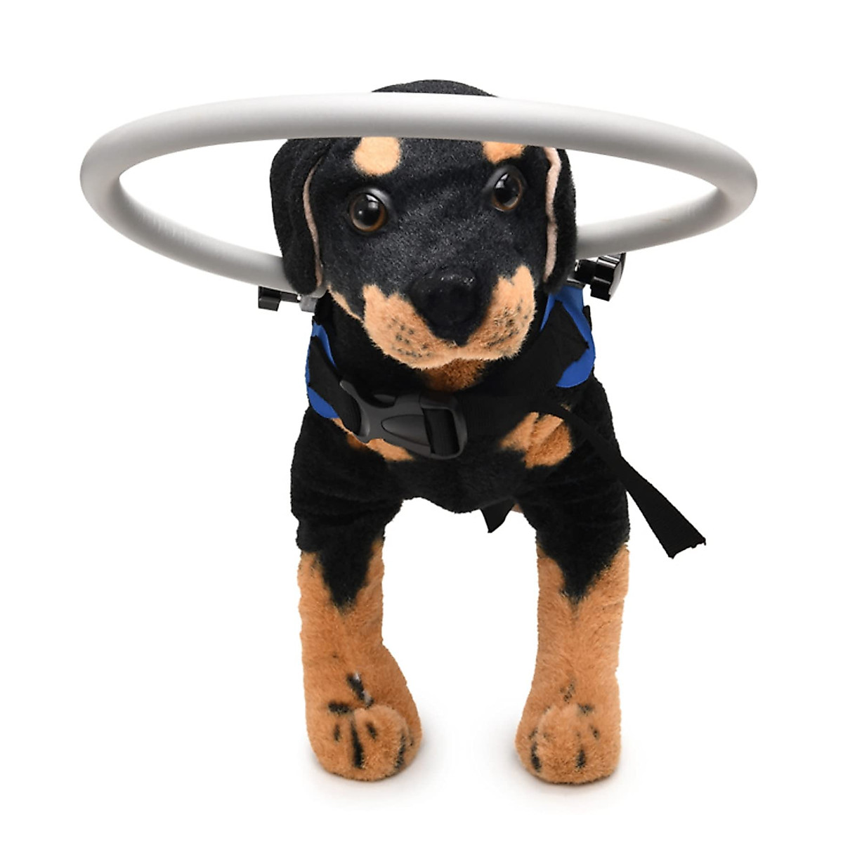GabeFish Ring Harness for Blind Dog, Lightweight Blind Ring for Pets, Blind Dog Bumper, Bump Guard for Blind Dogs Blue Medium