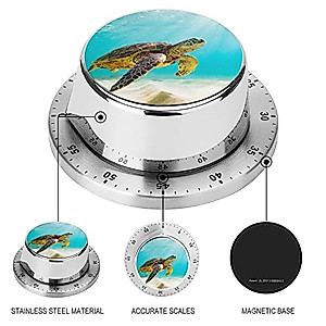 Kitchen Timer Blue Turtle Cooking Timer No Batteries Required Magnetic Countdown/Up Clock