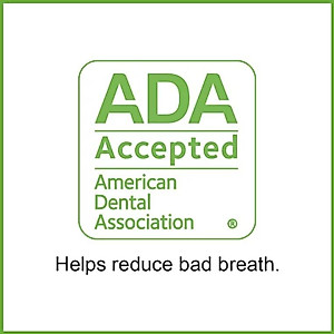 TheraBreath Dentist Recommended Fresh Breath Oral Rinse - Icy Mint Flavor, 16 Fl Oz (Pack of 2)