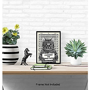Guilty Cat Wall Decor - Cat Wall Art - Dictionary Art - 8x10 Humorous Poster, Mugshot Wall Art or Home Decoration for Bathroom, Bath - Funny Gag Gift for Cat Lovers - Upcycled Picture Photo Print