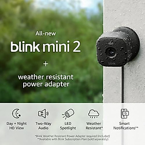 Blink Mini 2 (Newest Model) + Weather Resistant Adapter — Indoor/Outdoor Home Security & Pet Camera(s) with HD video, motion detection, and built-in spotlight — 2 cameras (Black)