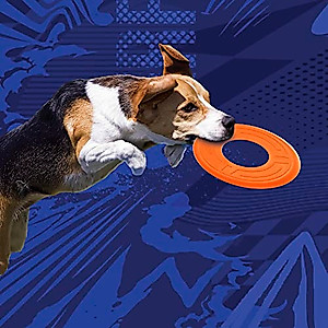 Nerf Dog 10in Atomic Flyer - Orange