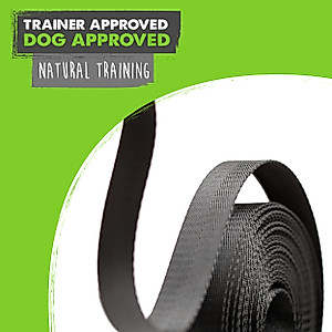 Mighty Paw Long Dog Leash | Pet Lead for Off-Leash Recall Training. Premium Quality Nylon Tie Out , Includes a Buckled Padded Handle. Great for Yard, Camping and Training. (15 Feet, Black)