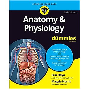 Anatomy & Physiology For Dummies (For Dummies (Math & Science)) (For Dummies (Lifestyle))