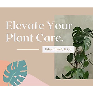 Urban Thumb & Co Ultra Fine Garden Plant Mulch - Top Cover for Indoor / Outdoor Potted House Plants - Compact Size, Potting Mix for Urban Plant Lovers- 3.25 Quarts