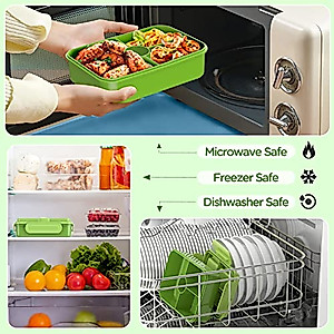 DaCool Kids' Bento Box Toddler Lunch Box for Kids 7.5 Cup 4-Compartment Leakproof with Fork Spoon School Lunch Containers for Meal Snack, Microwave & Dishwasher Safe, BPA Free, Green