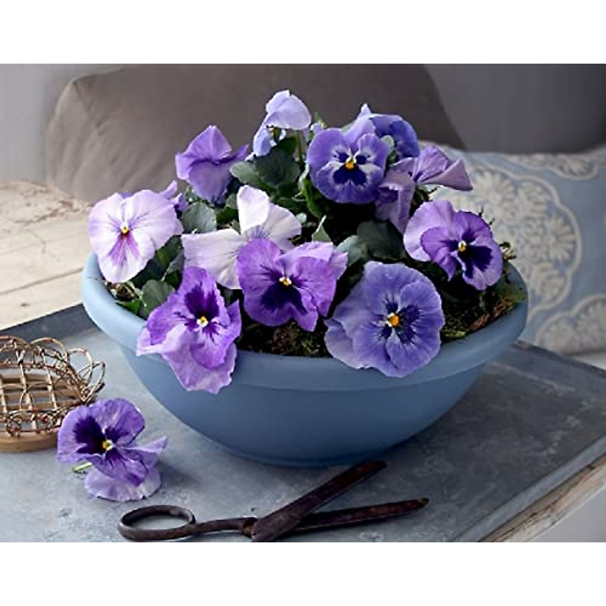 The HC Companies 14 Inch Large Garden Bowl Planter - Shallow Plant Pot with Drainage Plug for Indoor Outdoor Flowers, Herbs, Warm Gray