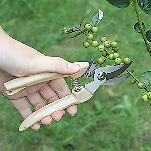 2PC Stainless Steel Pruning and Cutting Multifunctional Horticultural Scissors Orchard Flower Branch Picking Tree Pruning and Garden Branch Cutting Tool