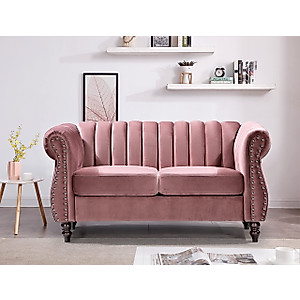 US Pride Furniture Chesterfield Rolled Arm Modern Style Fabric Rose Velvet Soft Living Room Loveseat with Removable Back Cushions & Solid Wood Support (S5644-5649) Sofas