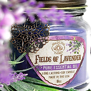 Way Out West Candles Aromatherapy Candle Gift Set for Mom | Long Lasting Soy Wax | Eucalyptus Mint & Lavender Essential Oil | Jar 2 Pack Handcrafted in USA