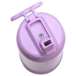 Takeya Actives 18 oz Vacuum Insulated Stainless Steel Water Bottle with Straw Lid, Premium Quality, Lilac