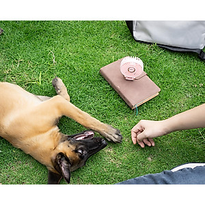 Handheld Fan, Portable Mini Fan in 5 Speeds Adjustable, Personal Fan Digital Display, USB Rechargable Small Fan with Base for Indoor Office Outdoor Home Travel (Blue)