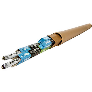 Hydrofarm 6400K Bulbs, 4-Pack FLT5464 4-Feet 54-Watt T5 AgroBrite Fluorescent Replacement, 4 foot Daylight, Glass