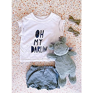 MON AMI Dax Dragon Stuffed Animal- Warmies Microwaveable Plush Pal with Aromatherapy Lavender Scent for Babies and Kids - Stuffed Grey Dragon Plush 11"