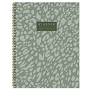 TF PUBLISHING 2024 Wild Sage Large Weekly Monthly Planner | Monthly Life Planner for Women with 2 Page Spreads | 12 Month Calendar and Planning Prompts | Planner for School or Work | 9"x11"