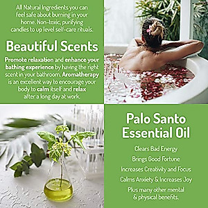 Maison Palo Santo Raw Genuine Palo Santo Essential Oil from Ecuador Aromatherapy Candle 9oz Handcrafted in USA with Natural Soy Wax for Purification & Cleansing Free Palo Santo Stick Included