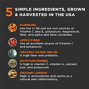 Super Snouts GI Balance Digestive Supplement for Dogs & Cats, 3.1 oz Pumpkin Powder for Dogs & Prebiotic Gut Health, Immune Support